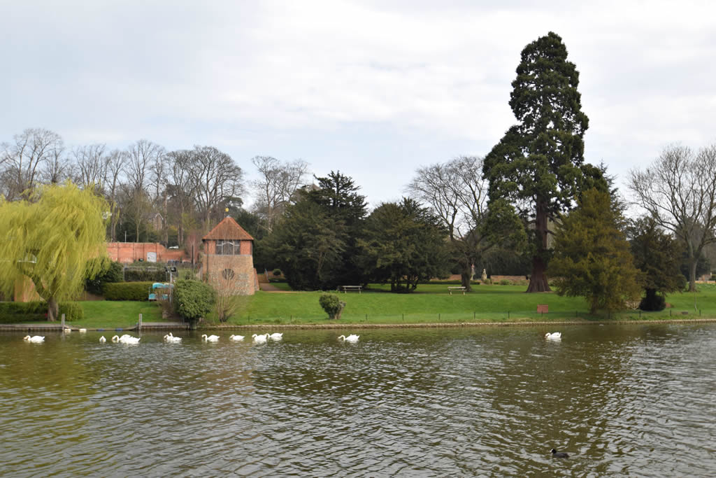 Houses / Properties for Sale in Caversham Heights | Nicholas Estate ...